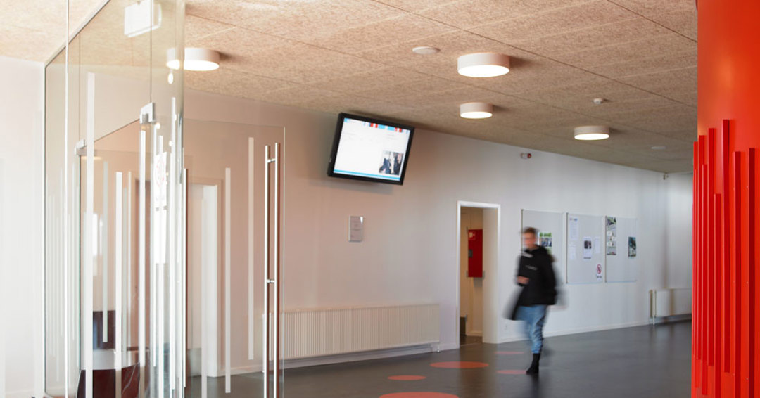 Inspiration: Acoustic ceiling in school building | Troldtekt